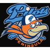 Peninsula Pilots - Coastal Plain League - team stats | Pointstreak ...