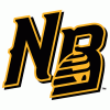 New Britain Bees - Futures Collegiate Baseball League of New England ...